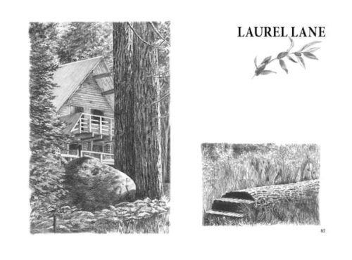 The Cabins of Wilsonia | Cabin Art