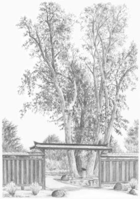 miki park | Cabin Art