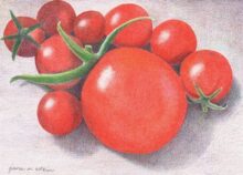 Victory Tomatoes | Cabin Art