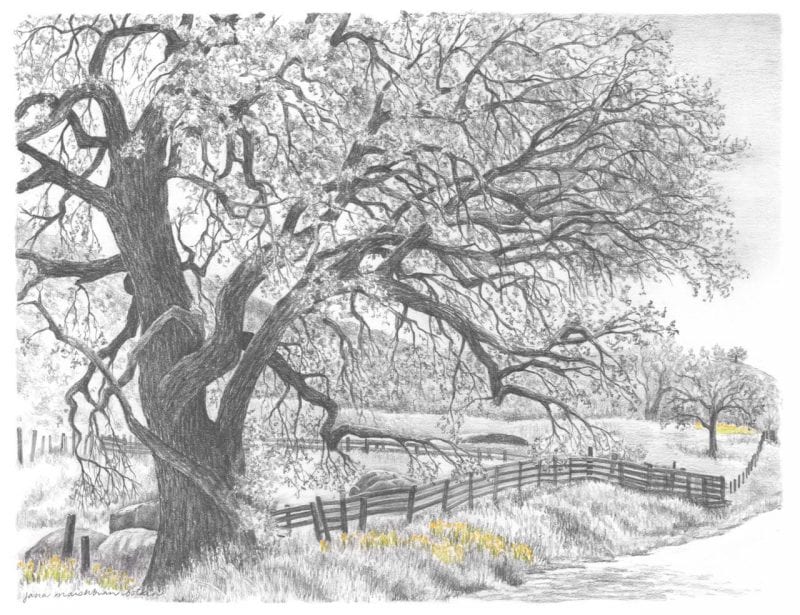 Bike Tree | Cabin Art